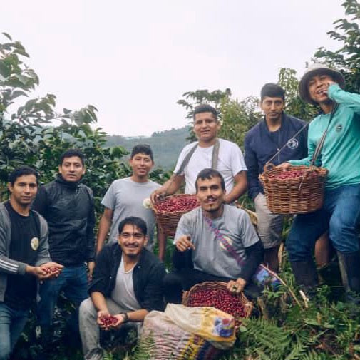 Peru Morito Cutervo – Common Goal Coffee